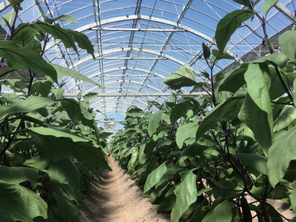 F-CLEAN® 나시지 시리즈 | AGC 그린테크 주식회사